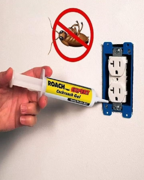 Roach Expert Cockroach Gel Bait 30g – Arab Dropshipping